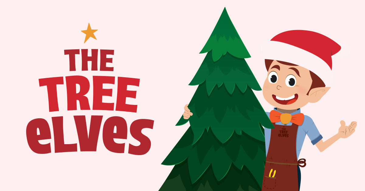 Real Christmas Trees Store in Brisbane | The Tree Elves